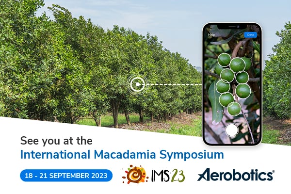 Macadamia nut AI sizing: An industry-first solution